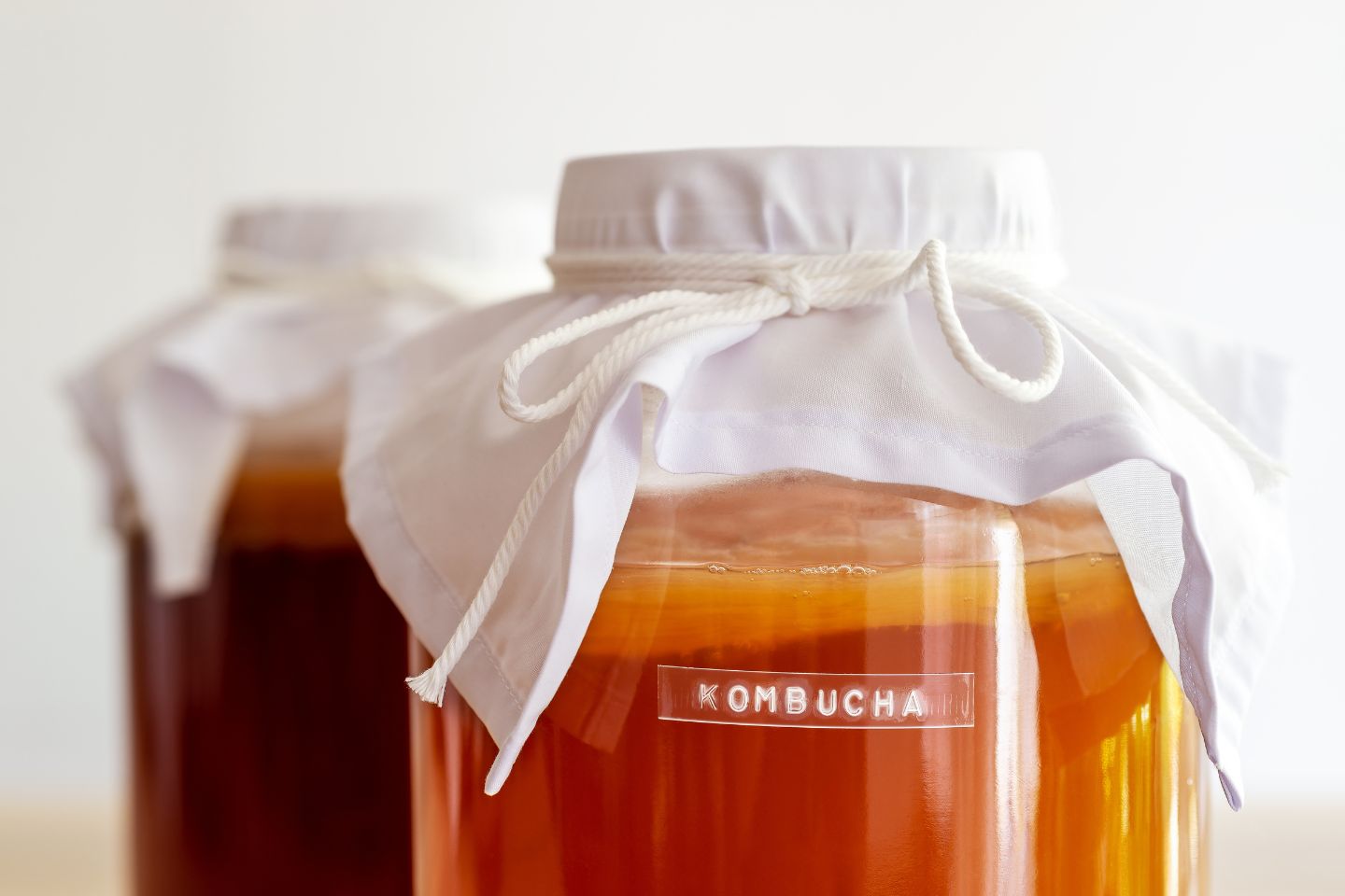 Preguntas frecuentes sobre Kombucha | Dudas sobre fermentación y SCOBY